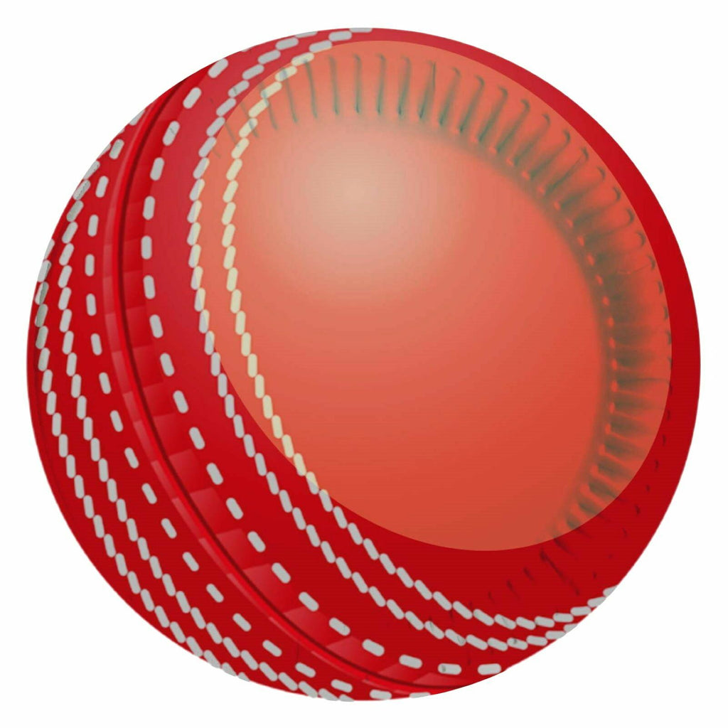 Cricket Paper Plates – The Party Shack